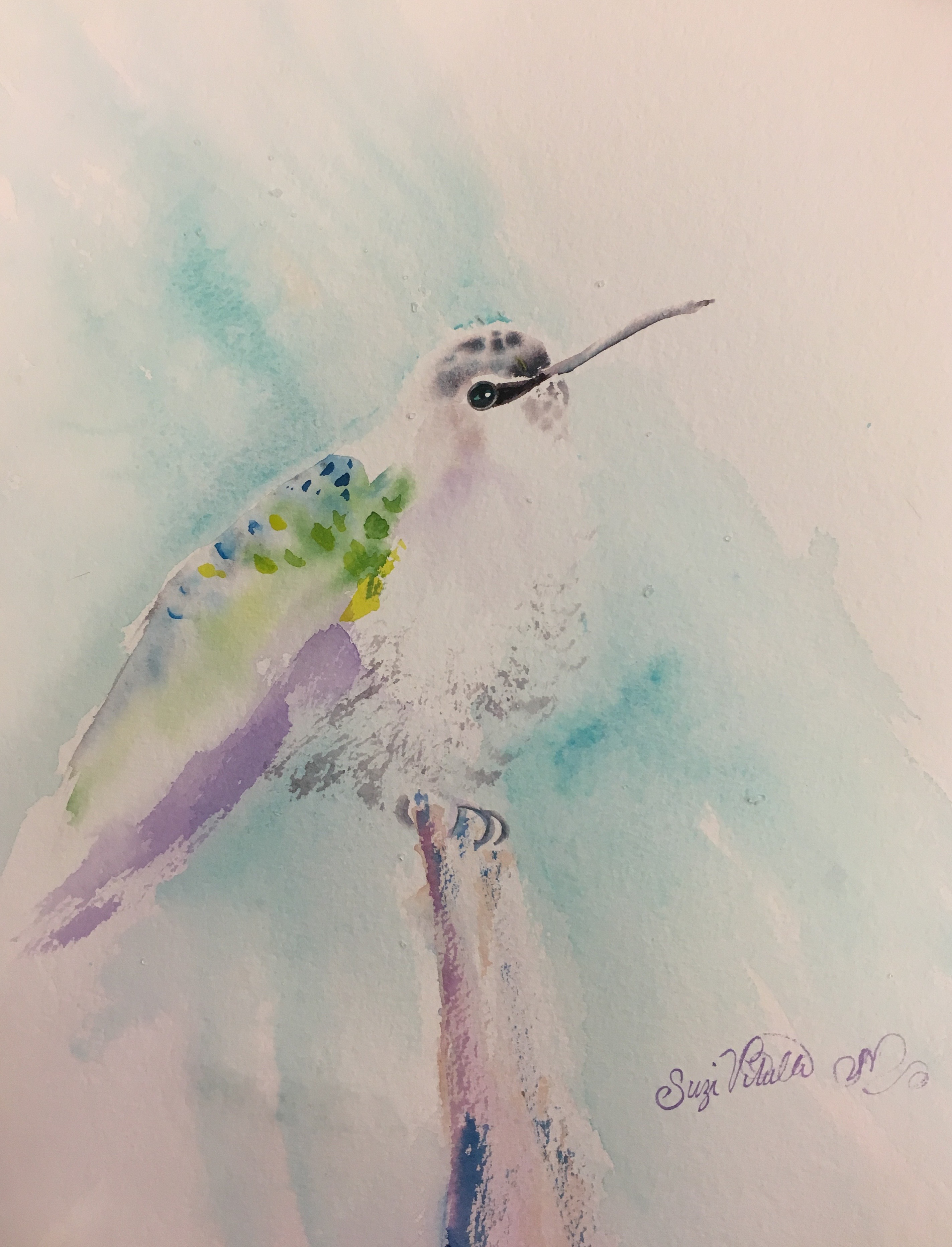 Hummingbird sitting - Suzi Vitulli Art