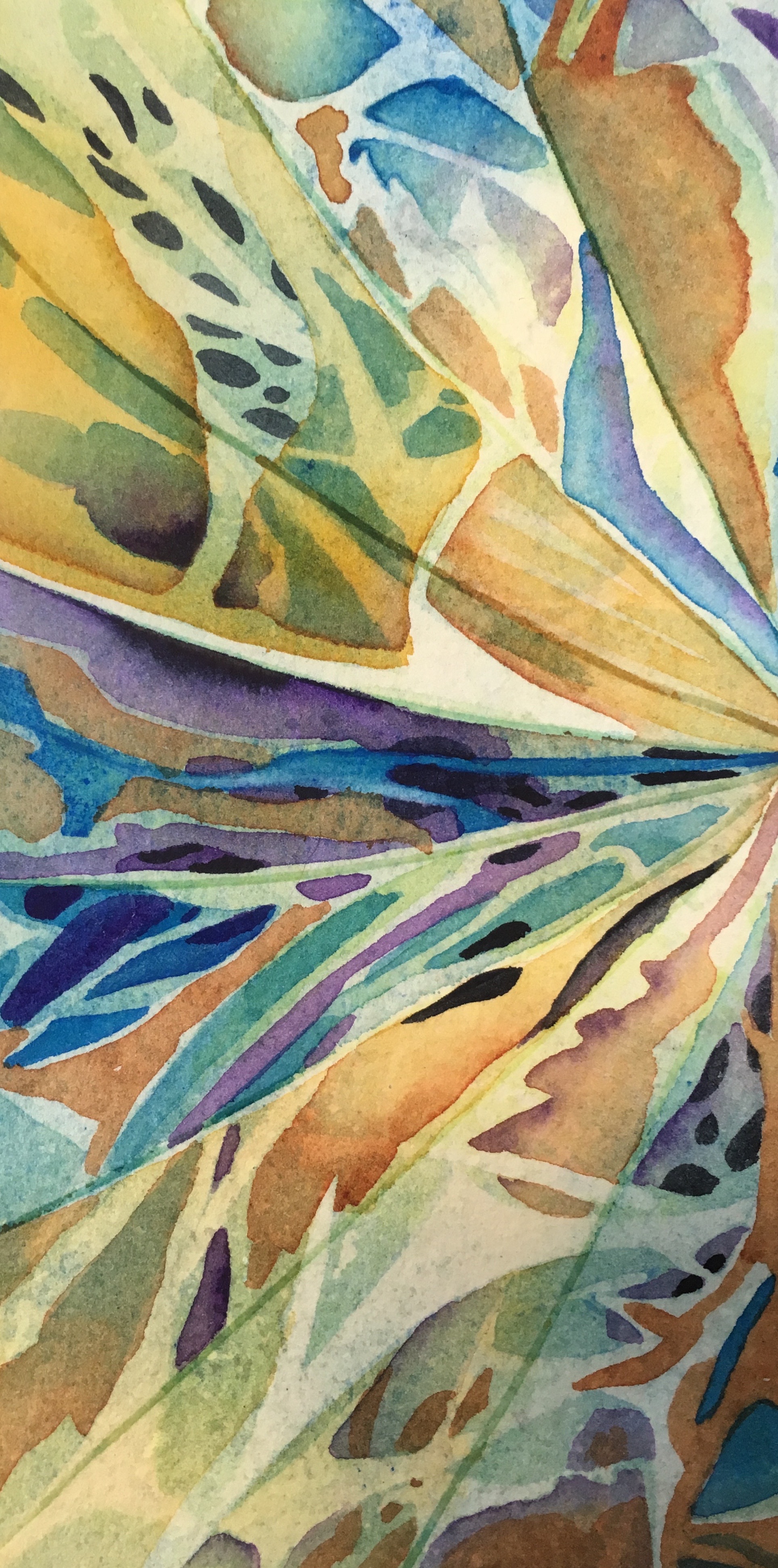 Abstracts - Suzi Vitulli Art