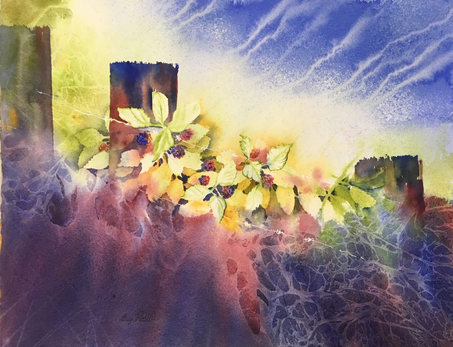 Landscapes and Misc. - Suzi Vitulli Art