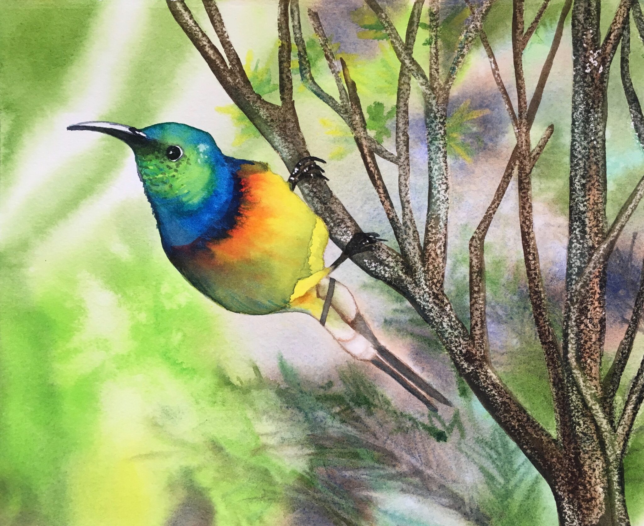 Animals and Other Critters - Suzi Vitulli Art