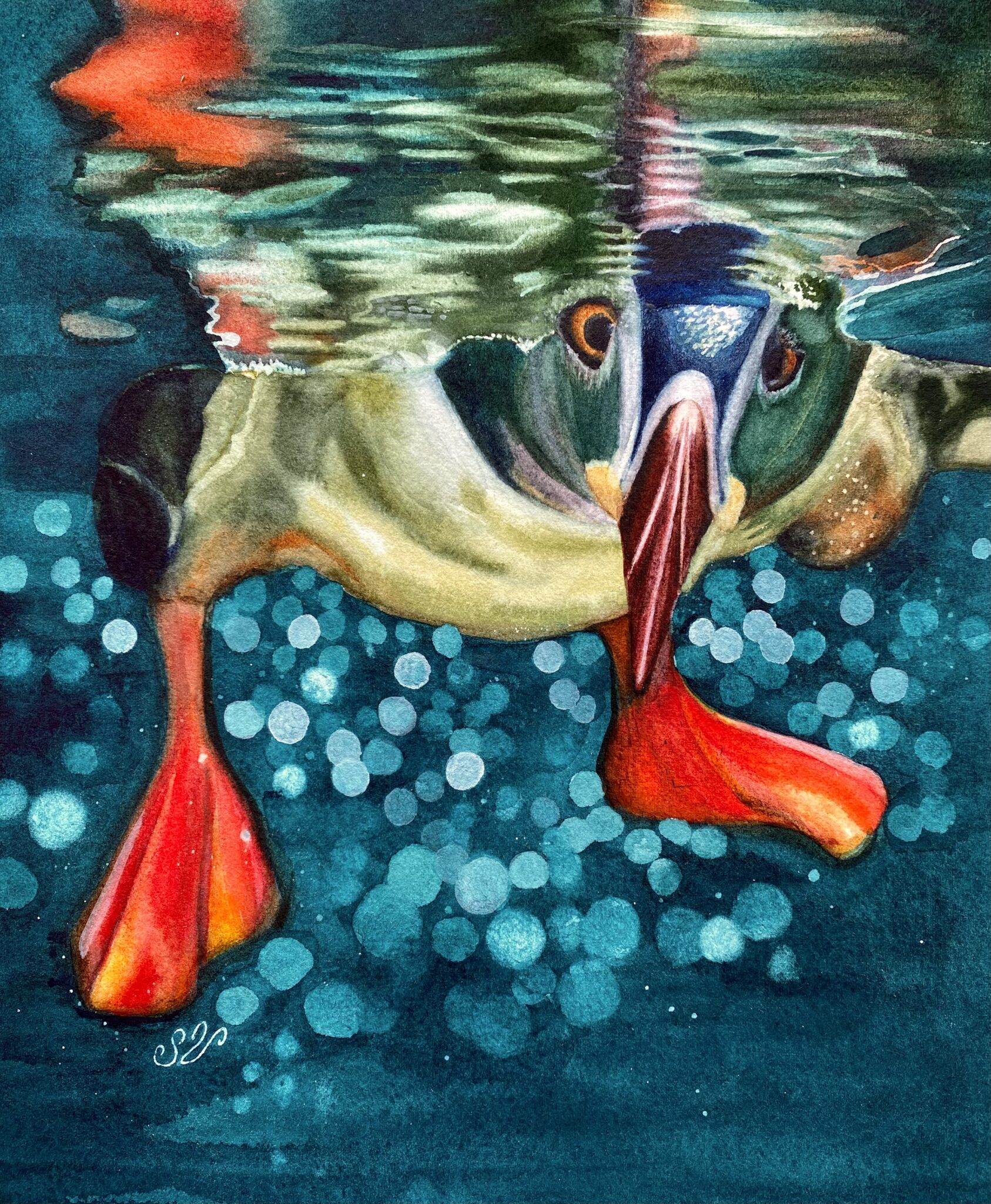 Animals and Other Critters - Suzi Vitulli Art
